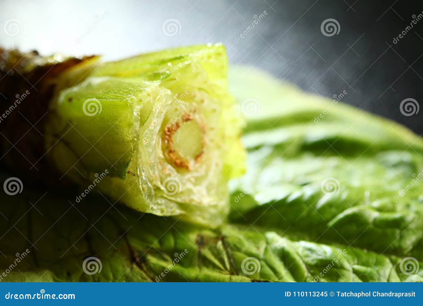 Vegetable stock image. Image of plant, root, vegetable - 110113245