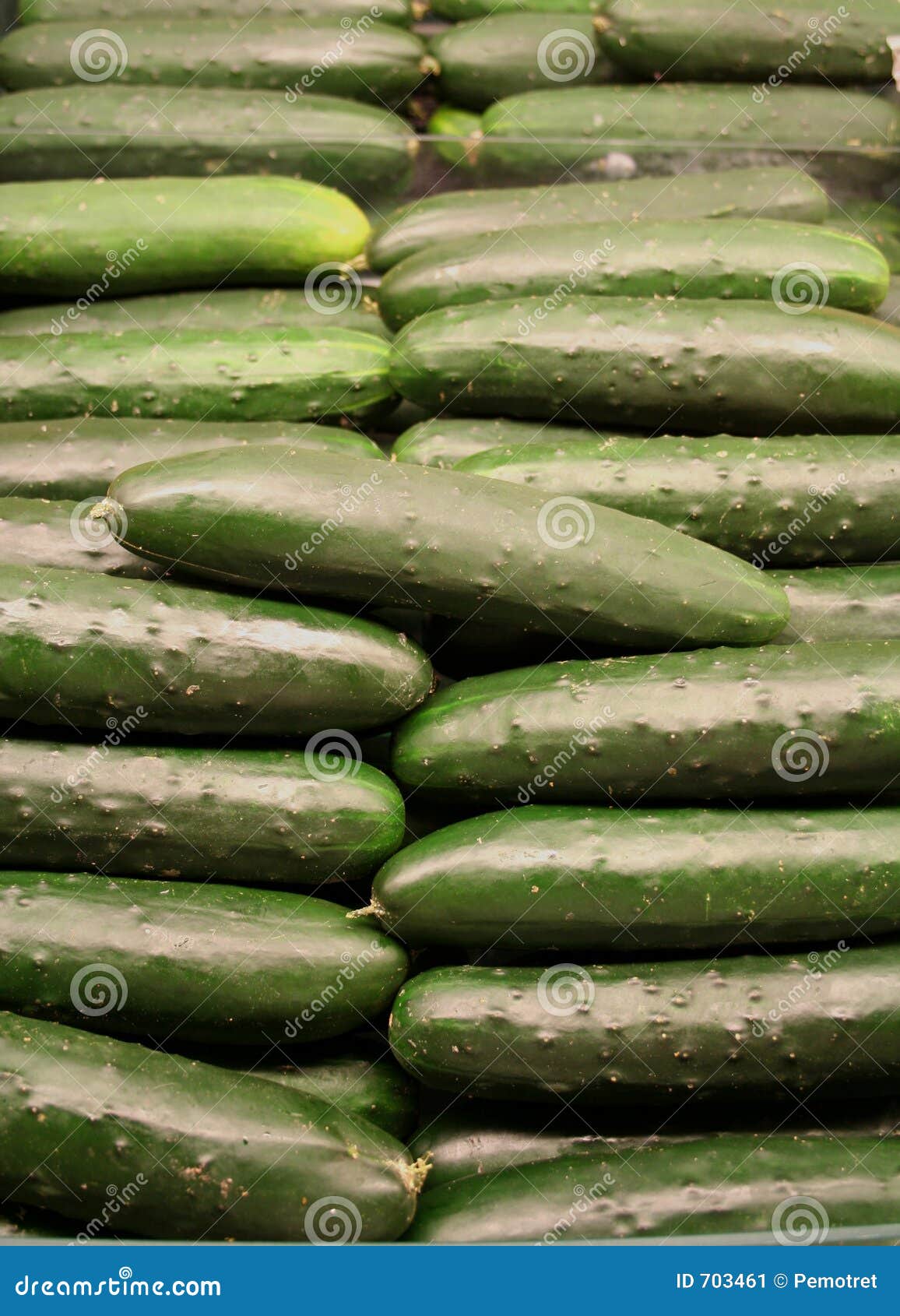 Vegetable - Cucumber stock image. Image of healthy, grayscale - 703461