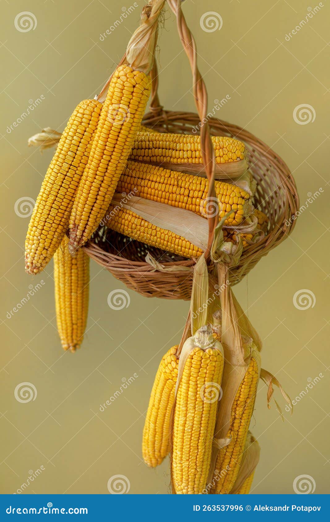 Vegetable Decor from Corn Cobs Stock Photo - Image of corncob, rural ...