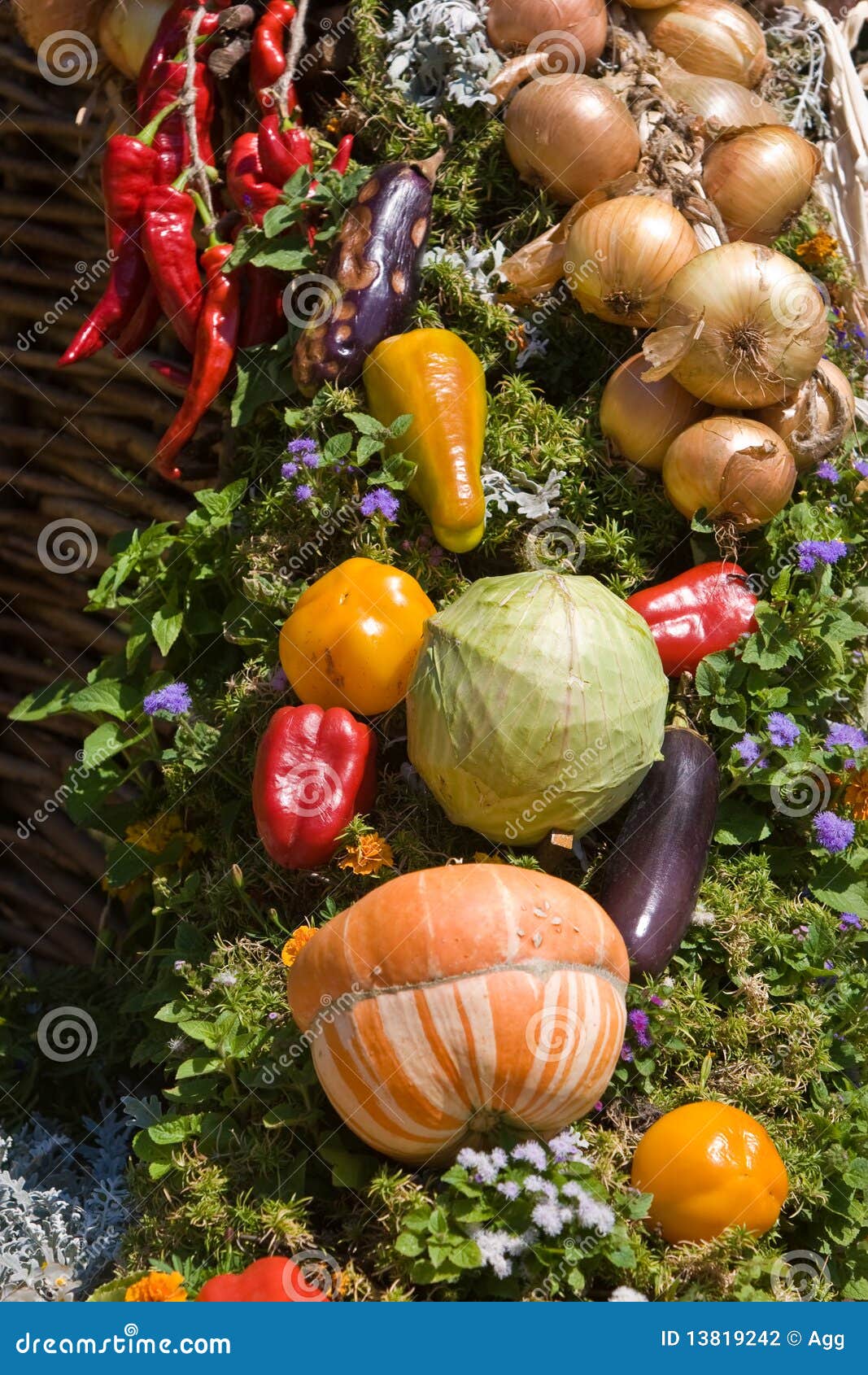 Vegetable decoration stock photo. Image of pepper, fresh - 13819242