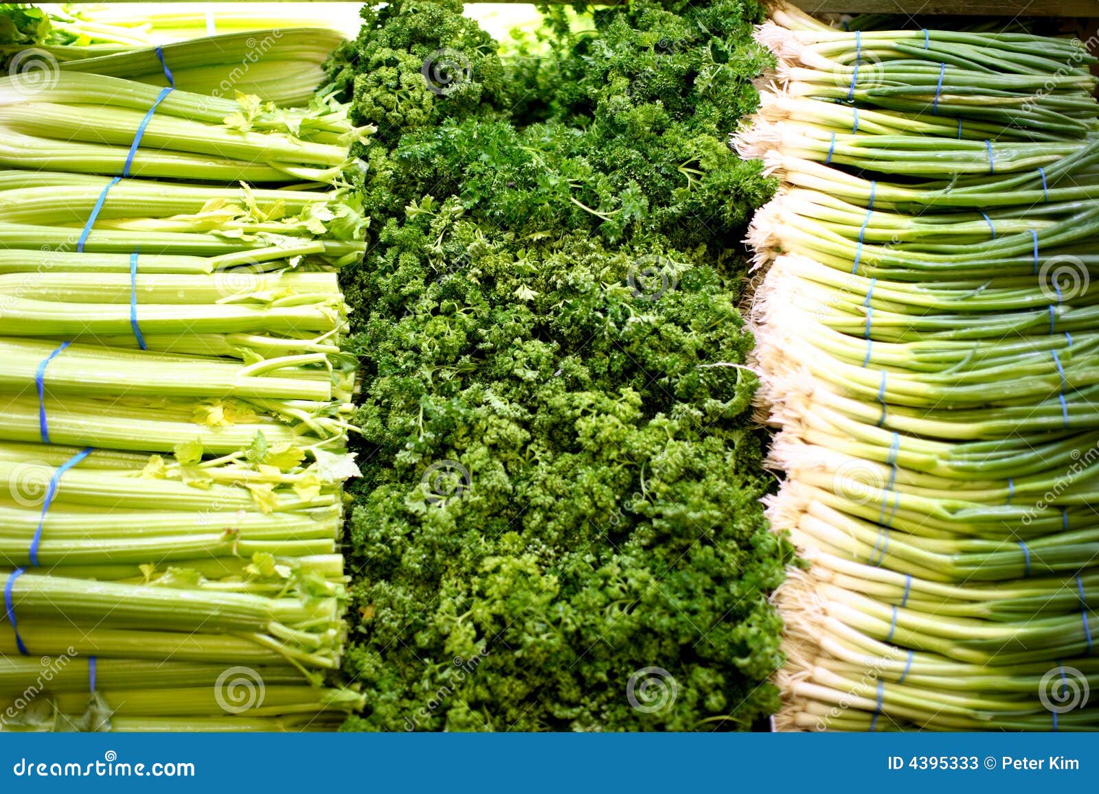 Vegetable display stock image. Image of healthy, vegetable - 4395333