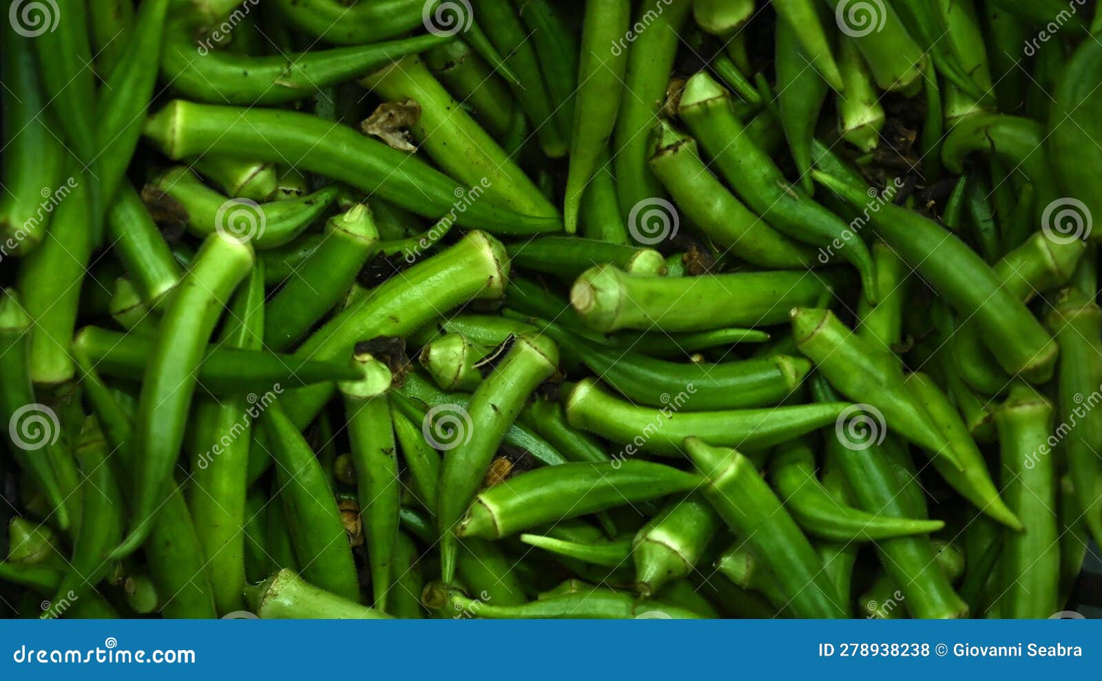 Vegetable Fair Okra Vegetables Vegetables Natural Plantation Stock ...