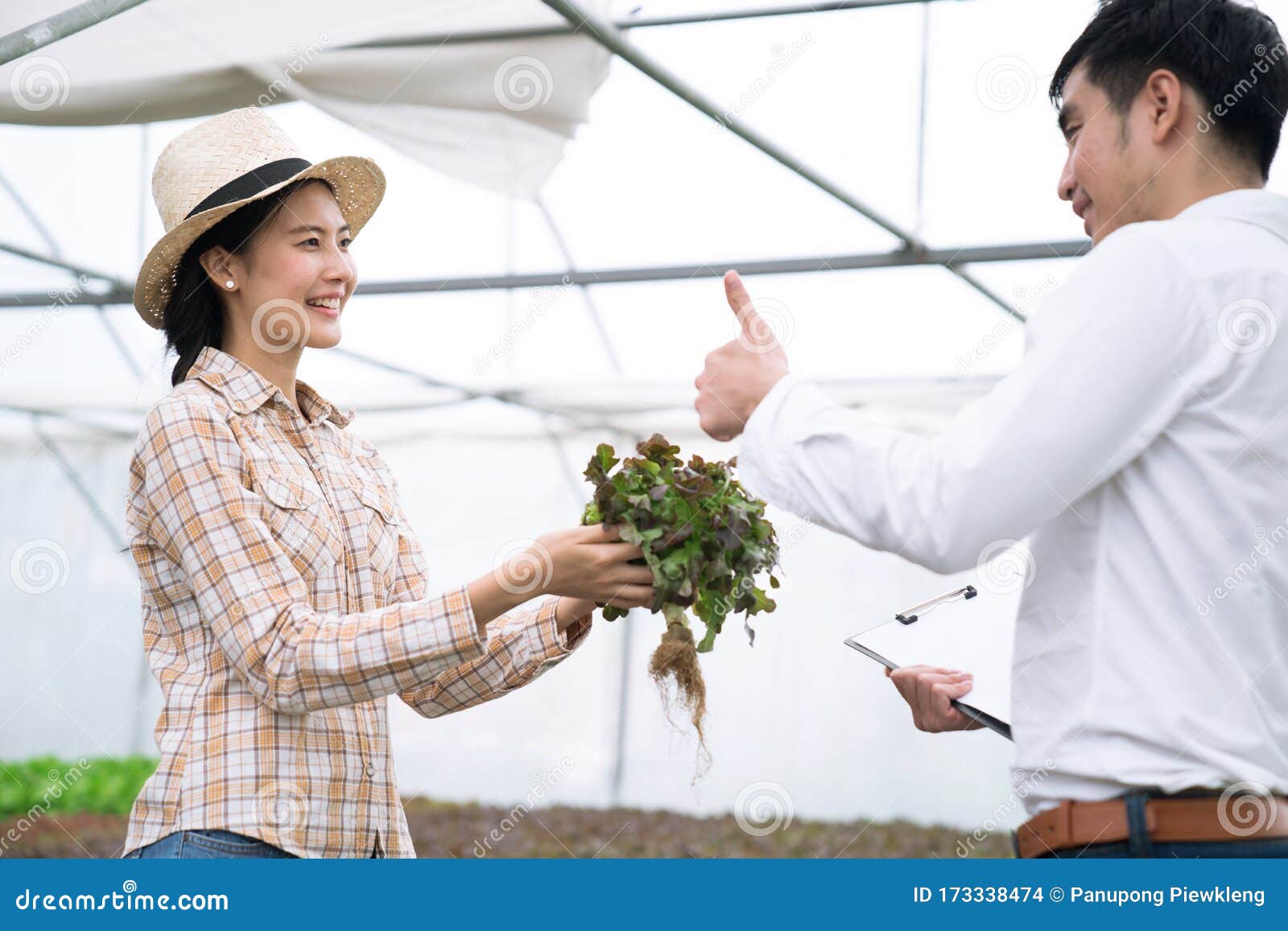 Vegetable Farm Employees are Checking the Data and Test Quality of ...