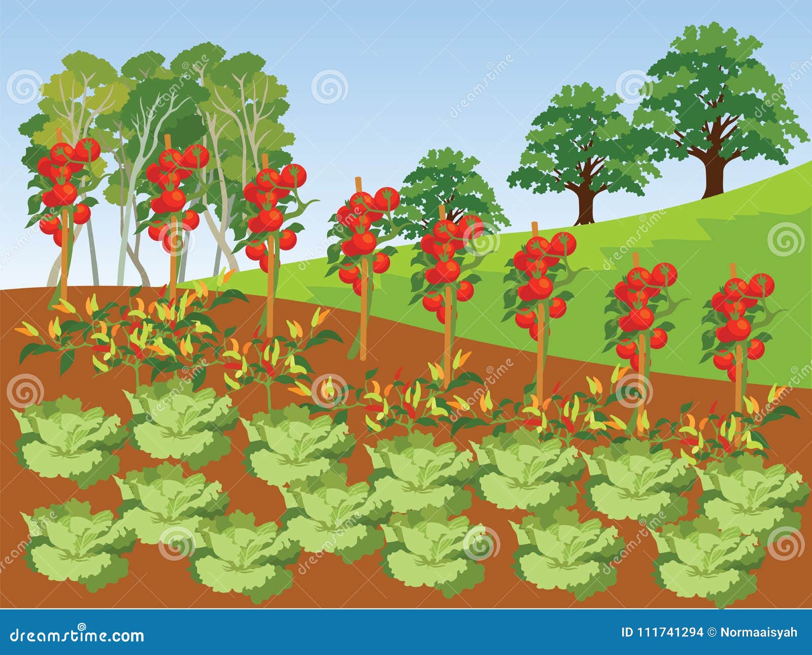 Vegetable Farm Vector Illustration And Background Stock Illustration
