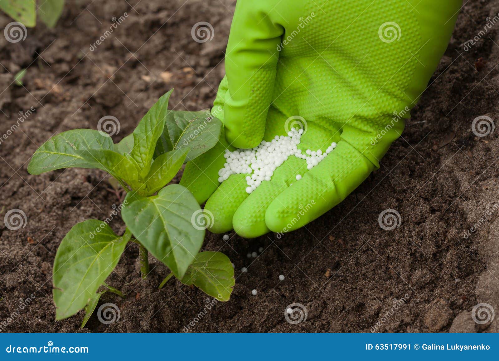 Vegetable fertilizer stock image. Image of garden, chemistry - 63517991