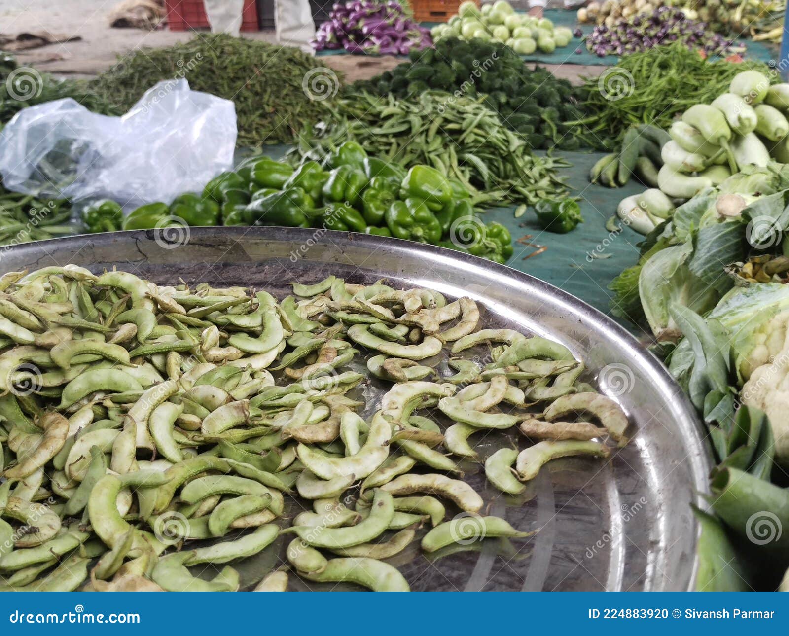 Vegetable food gujarat stock photo. Image of fruit, herb - 224883920