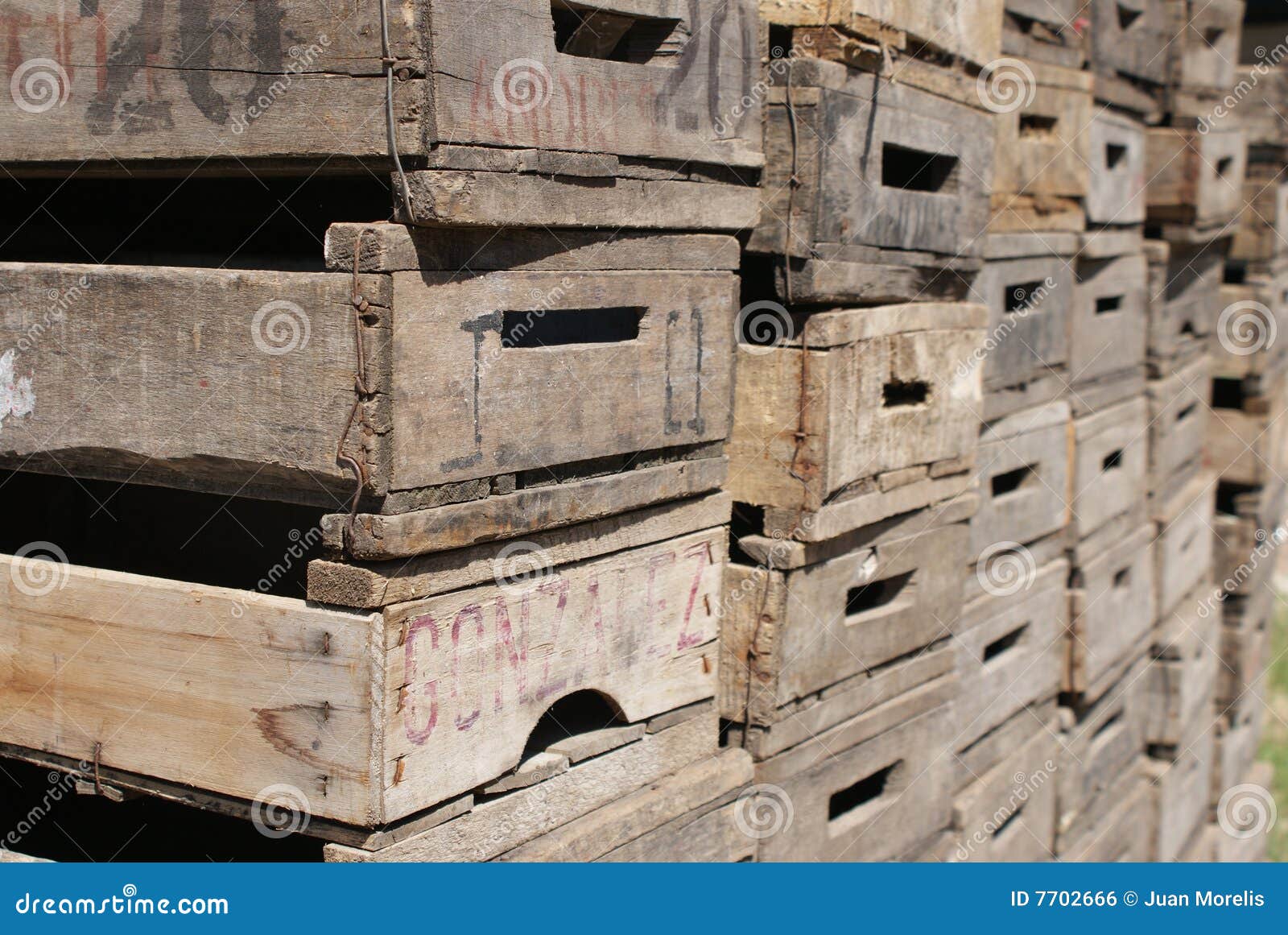 Vegetable Or Fruit For Drawer Picture. Image: 7702666