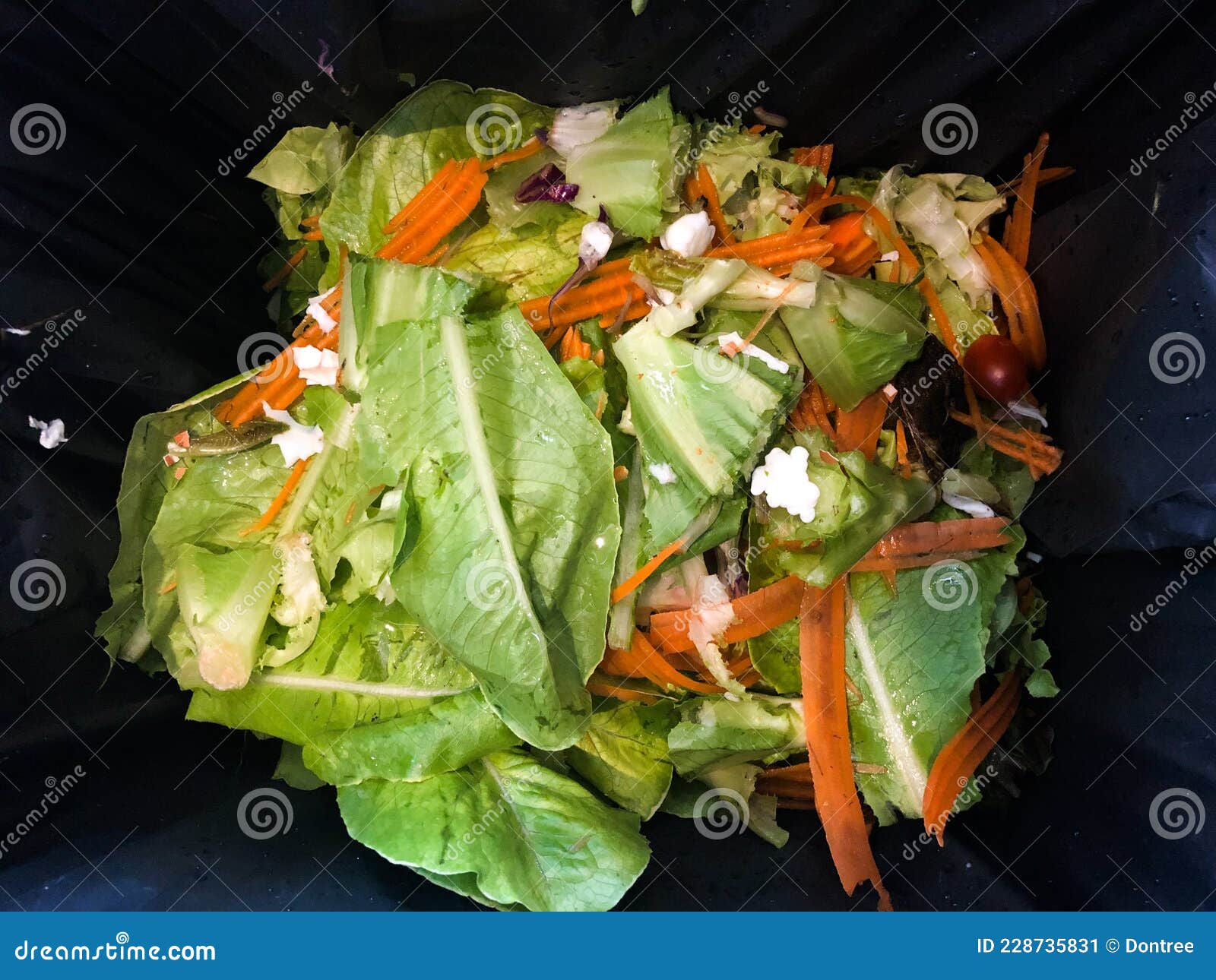 Vegetable Garbage in Kitchen Stock Image - Image of environment ...