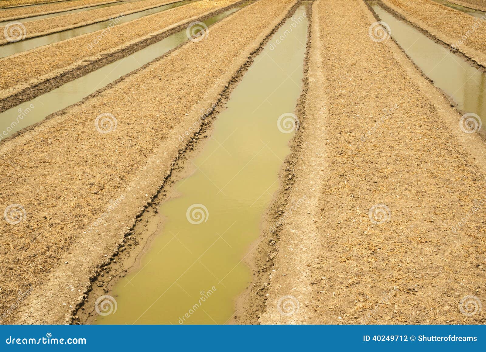 Vegetable Garden Bed Preparation Stock Photo - Image of earth, land ...