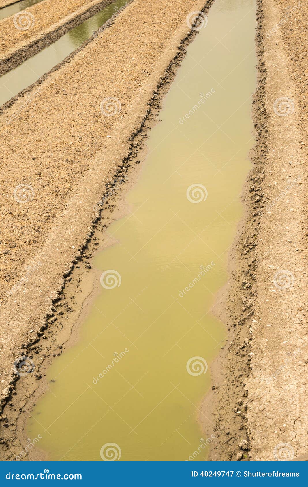 Vegetable Garden Bed Preparation Stock Image - Image of field ...
