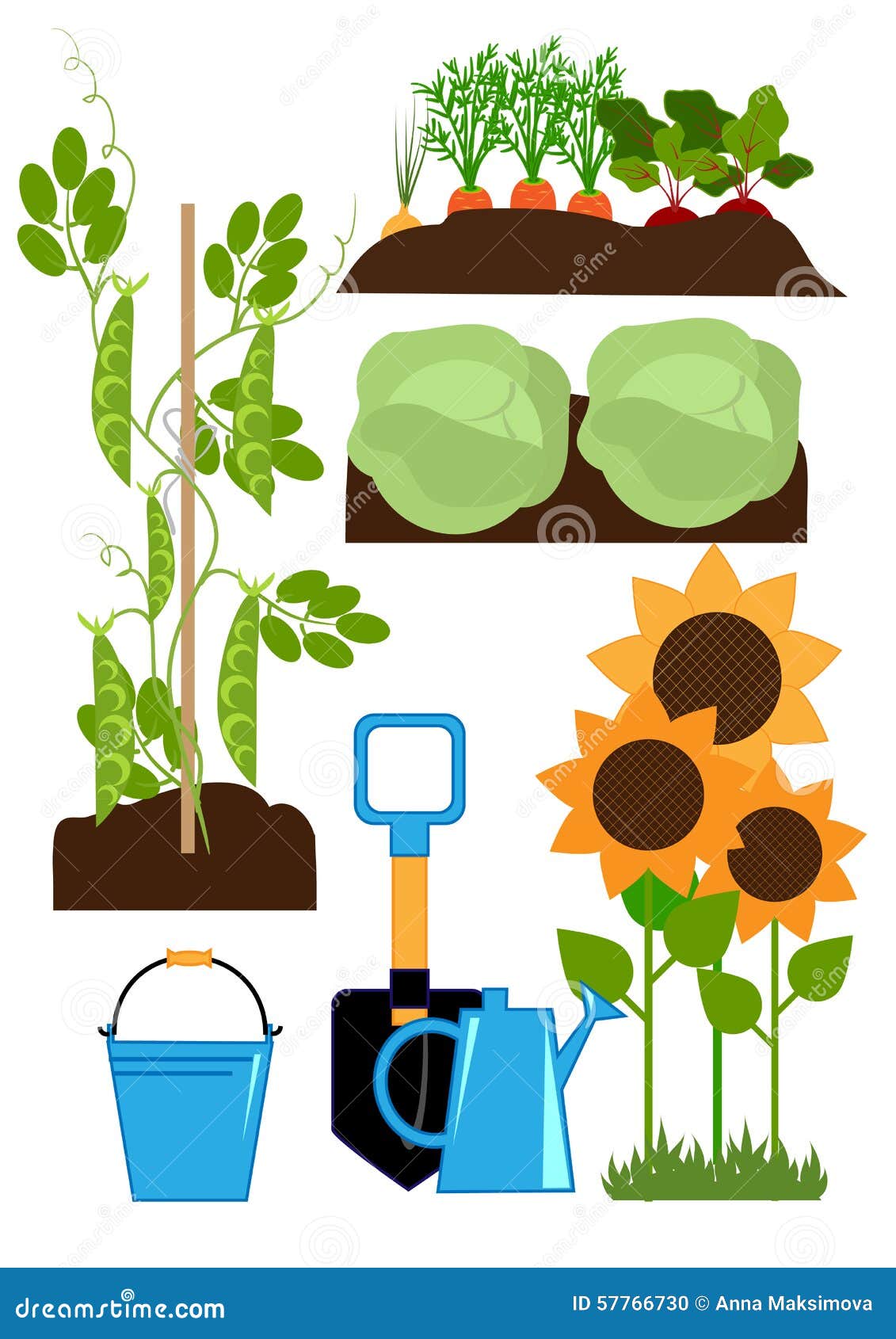 Vegetable garden bed stock vector. Illustration of beds - 57766730