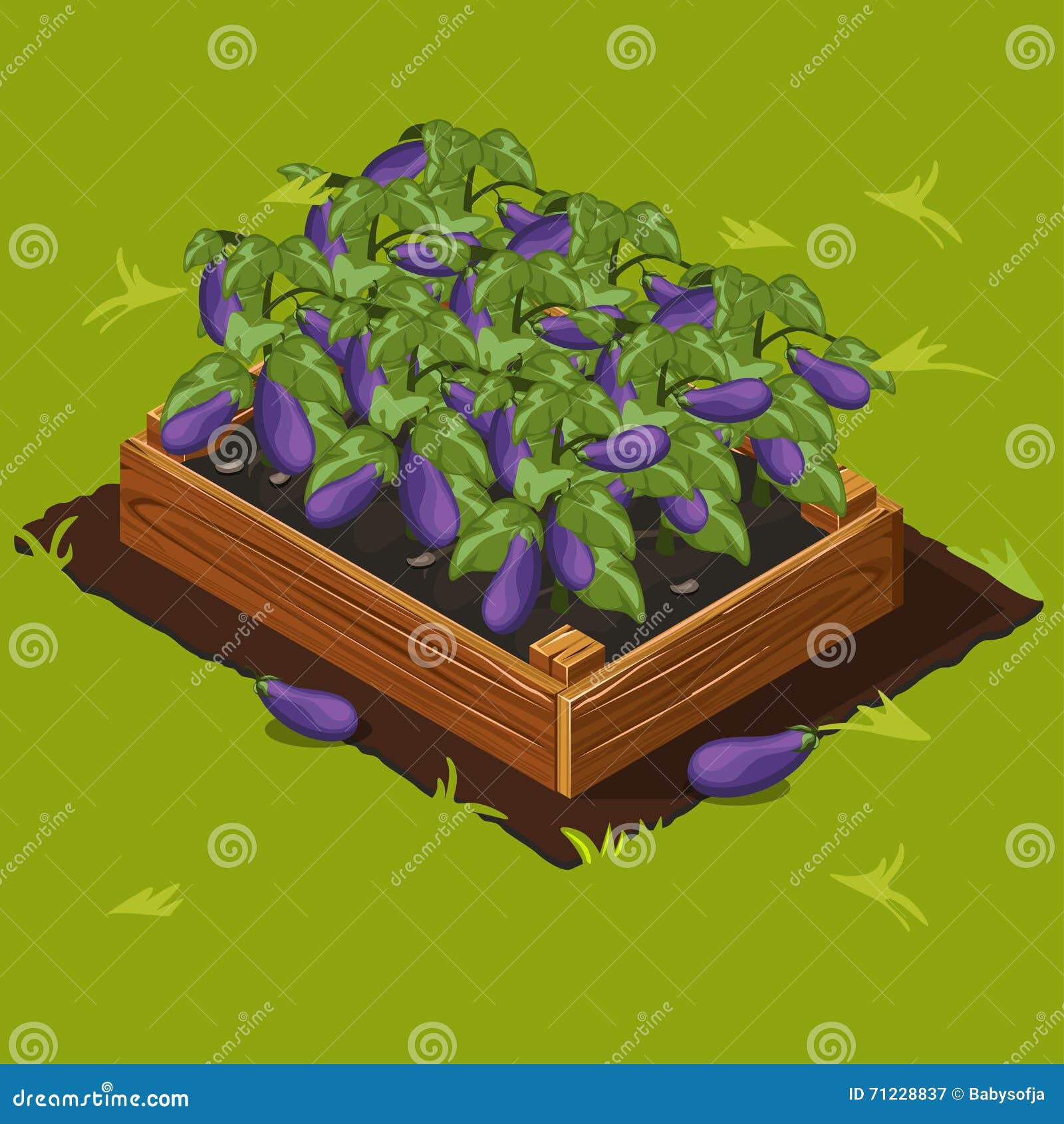 Vegetable Garden Box with Eggplant. Set 5 Stock Vector - Illustration ...