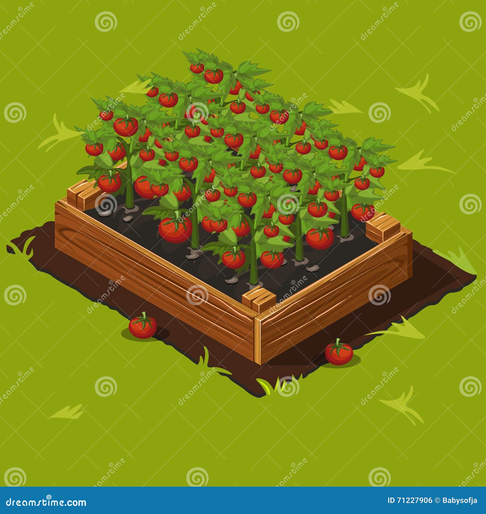 Raised Garden Bed Tomatoes Stock Illustrations – 6 Raised Garden Bed ...