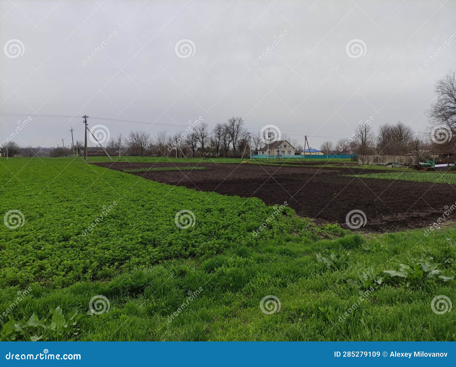 Vegetable Garden in a Countryside Stock Image - Image of farming, farm ...