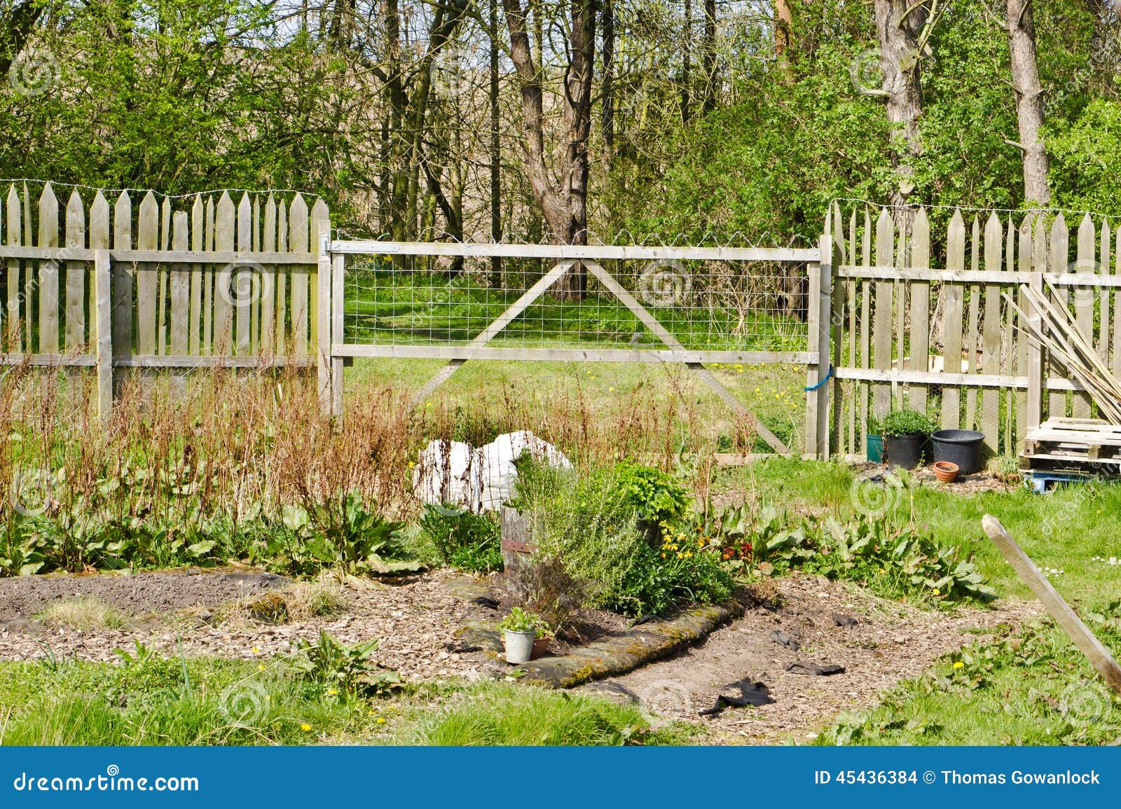 Vegetable garden stock photo. Image of soil, fence, smallholding - 45436384