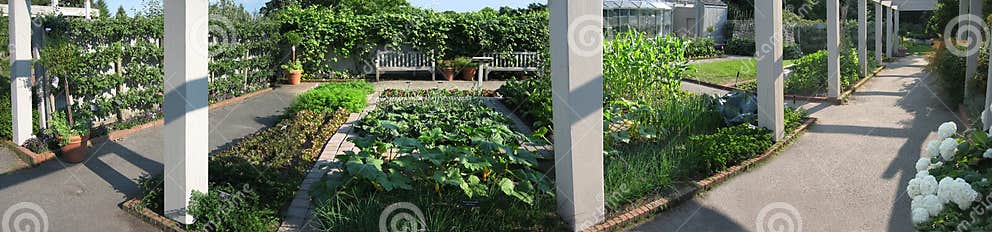 Vegetable Garden stock photo. Image of pillars, garden - 57114580
