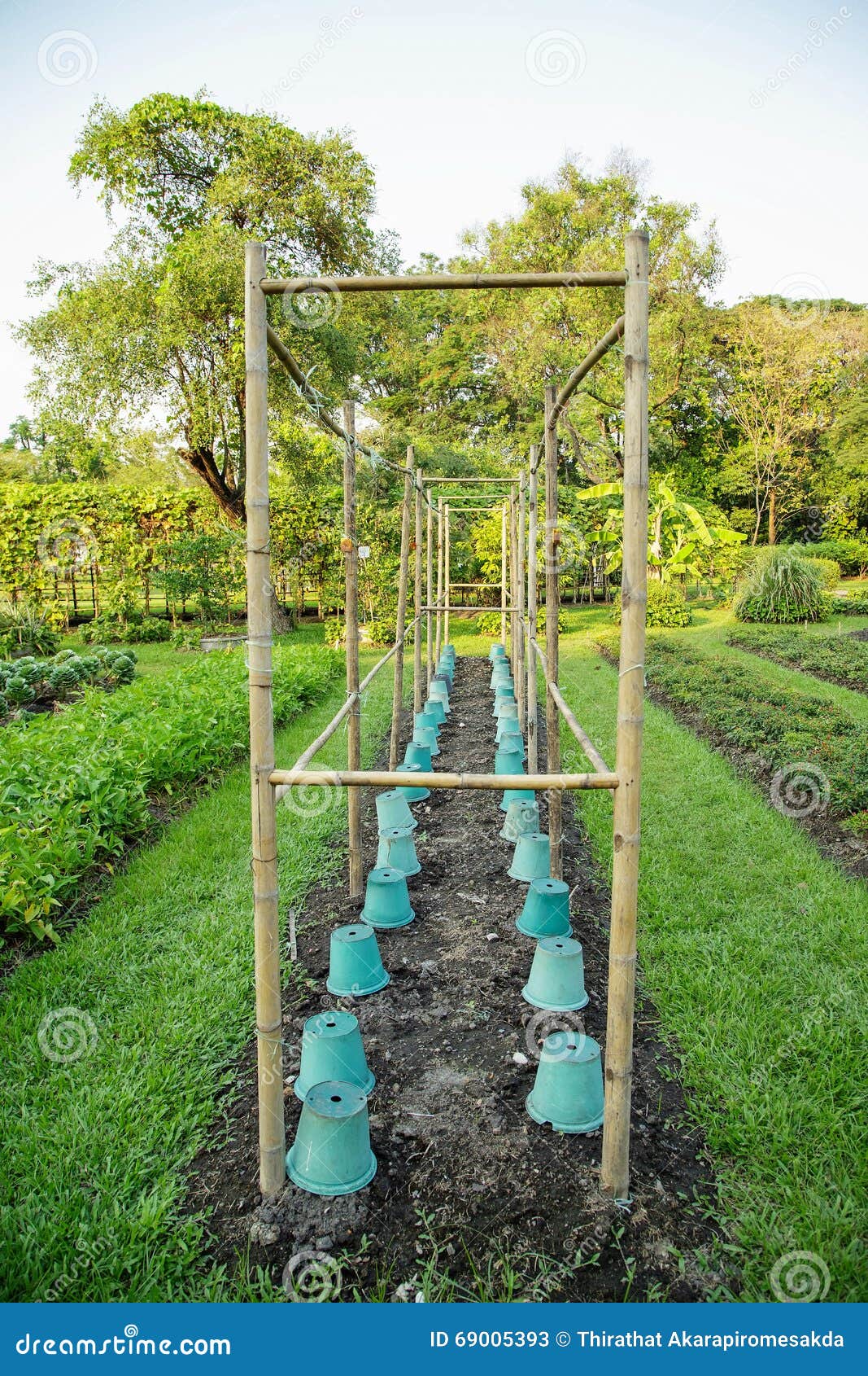 Vegetable garden plots stock image. Image of vegetable - 69005393