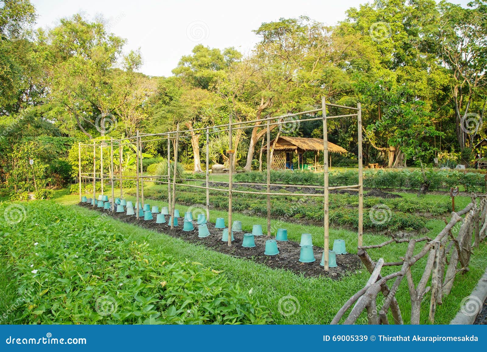 Vegetable Garden stock image. Image of agricultural, gardening - 69005339