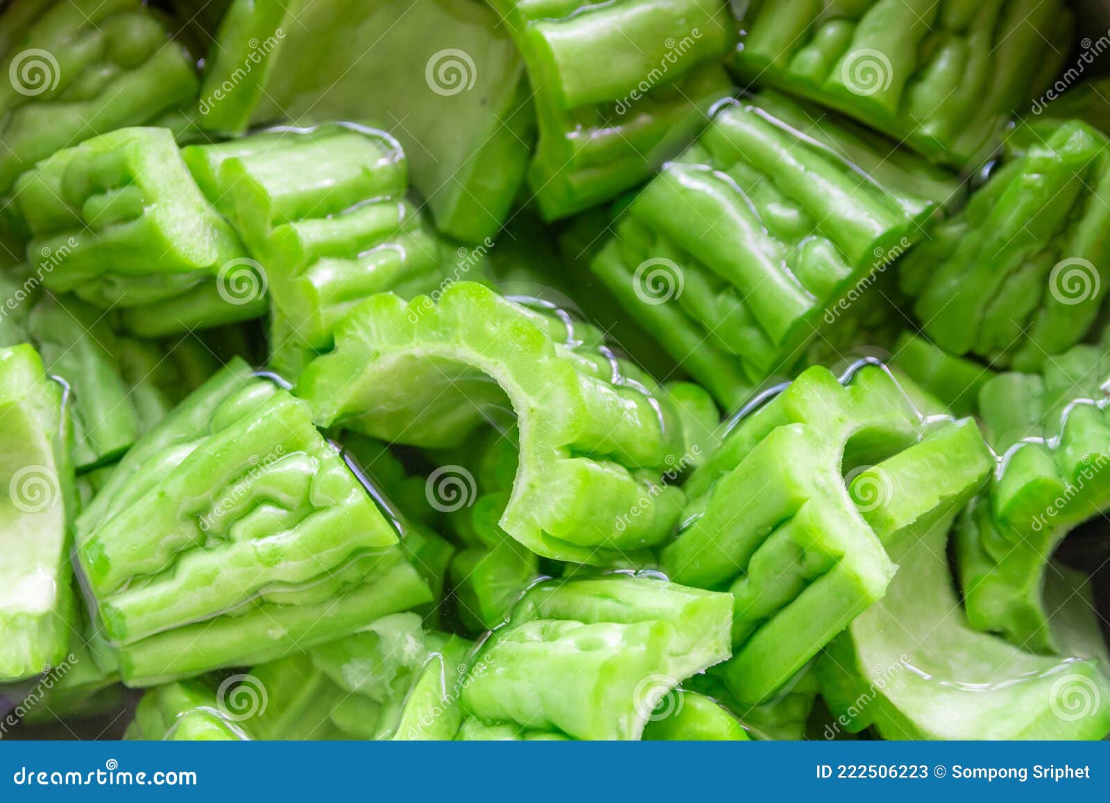 Vegetable Gourd Cut into Pieces in the Water Stock Image - Image of ...