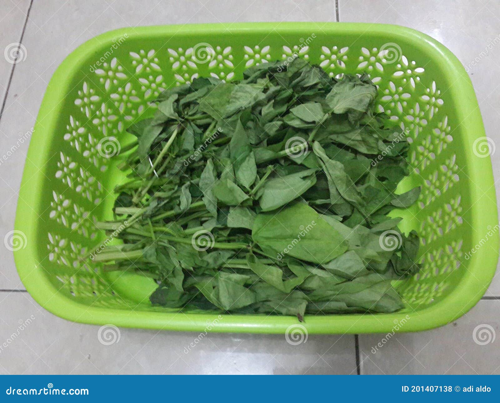 Vegetable green basket stock photo. Image of green, vegetable - 201407138