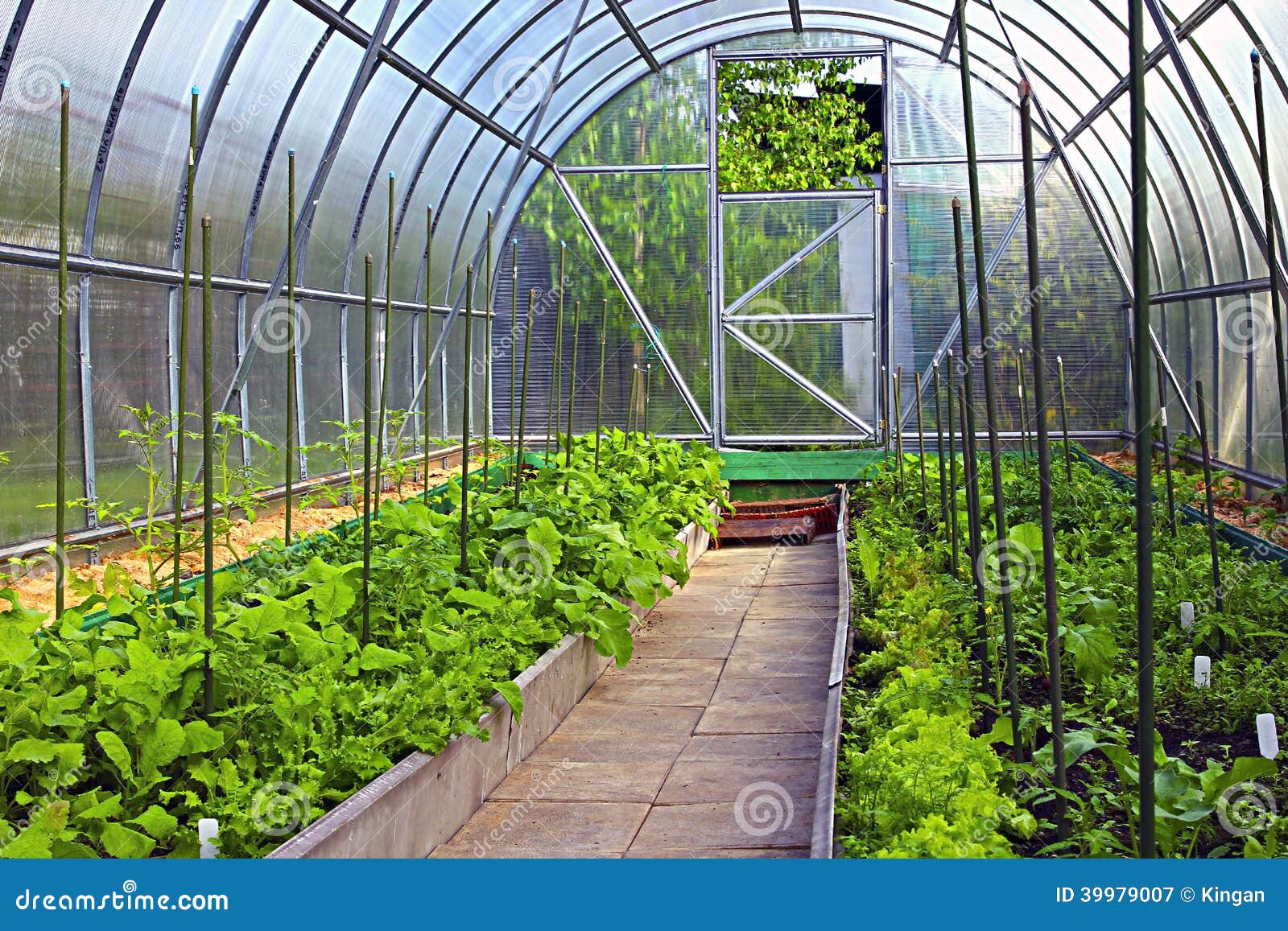 Transparent Polycarbonate Honeycomb Background With Horizontal Stripes ...