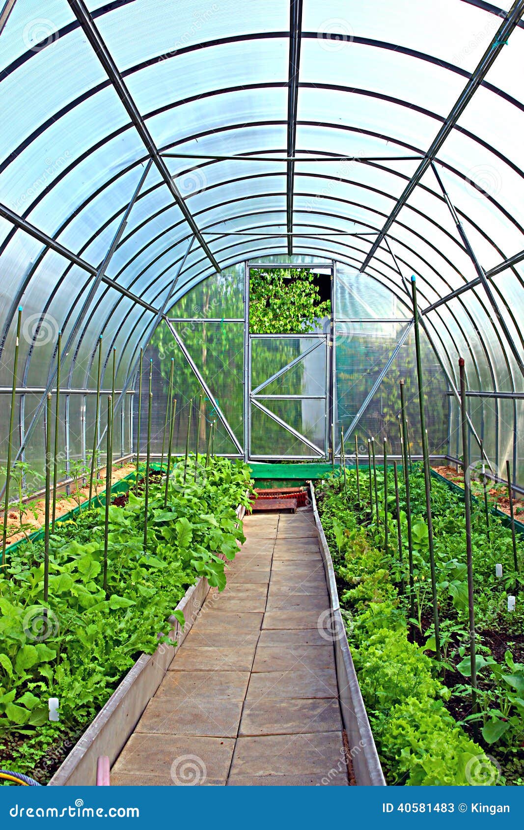 Vegetable Greenhouses Made of Transparent Polycarbonate Stock Image ...