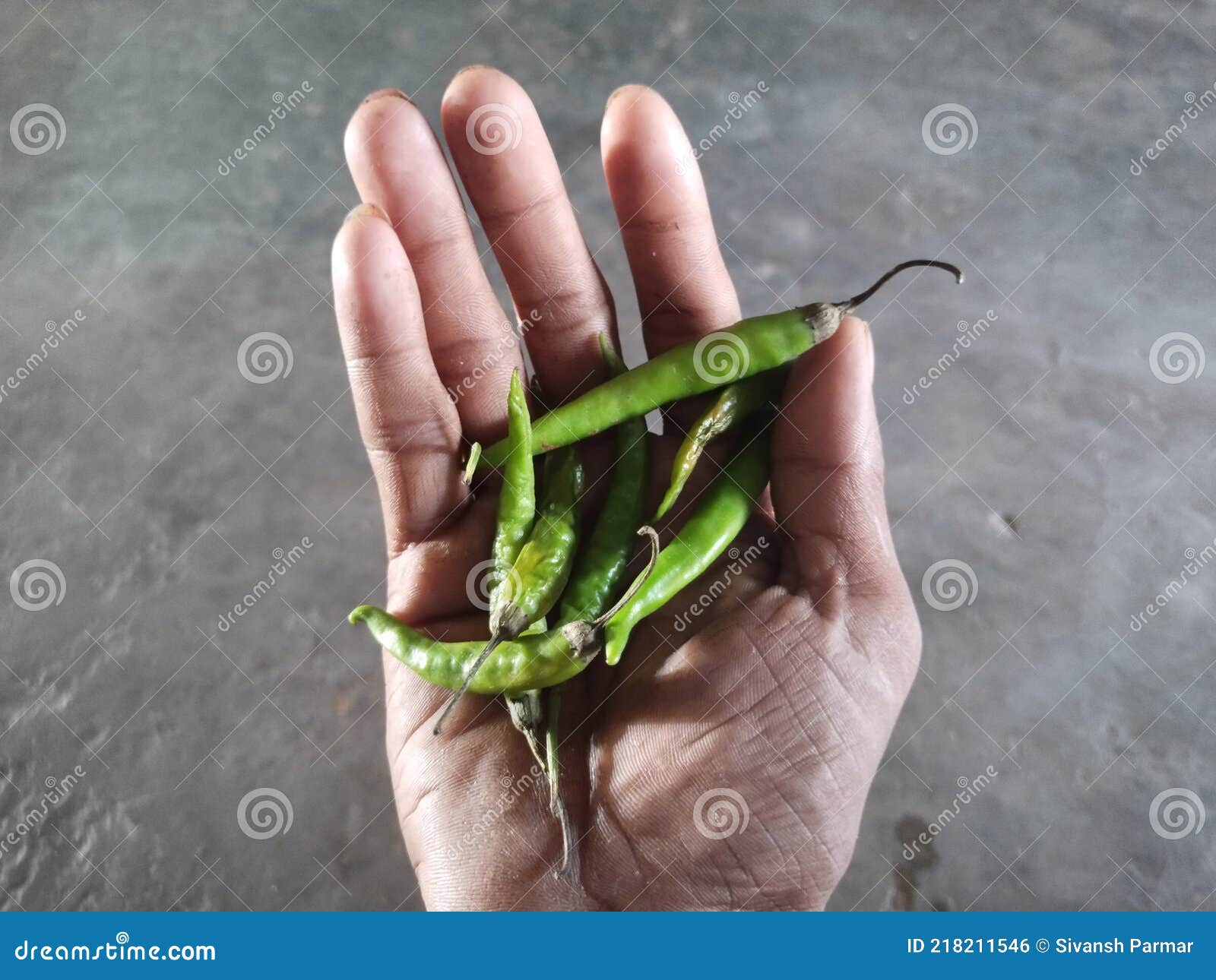 Vegetable and hand stock photo. Image of leaf, vegetable - 218211546