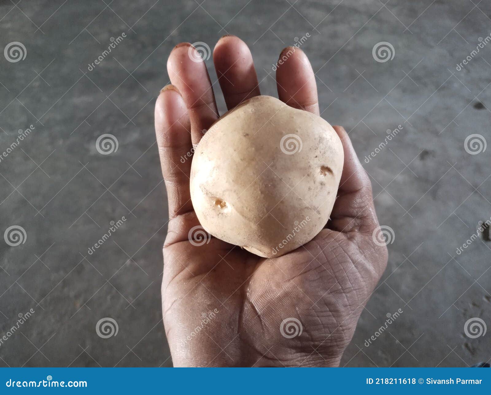 Vegetable and hand stock photo. Image of organ, vegetable - 218211618