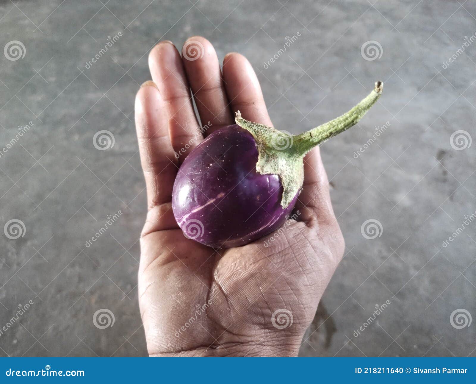 Vegetable and hand stock photo. Image of flower, green - 218211640