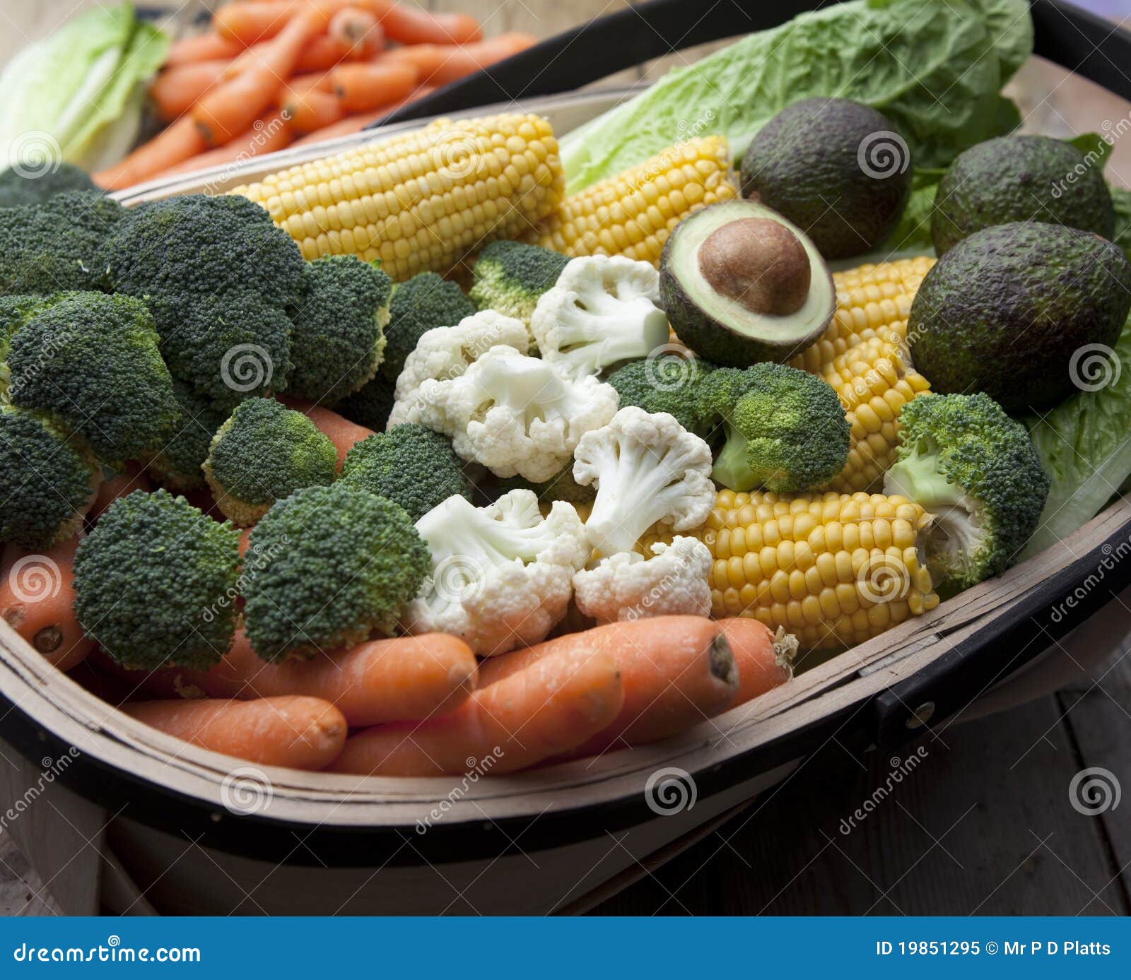 Vegetable harvest stock image. Image of berry, group - 19851295