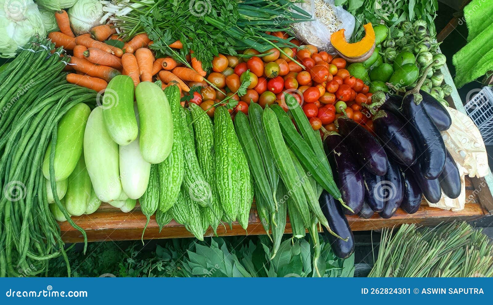 VEGETABLE HEALTY for LIVE FRESH from HARVEST Stock Image - Image of ...