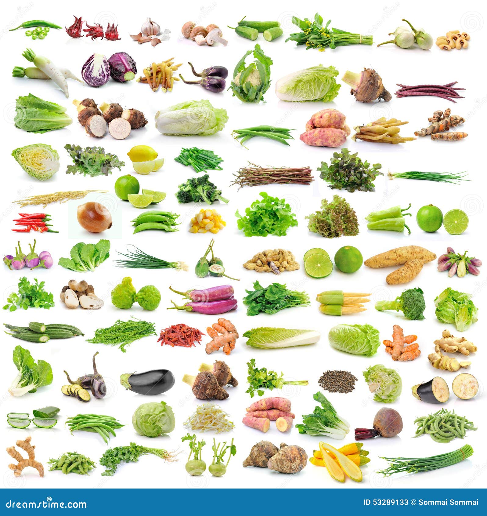 Vegetable Isolated on White Background Stock Image - Image of celery ...