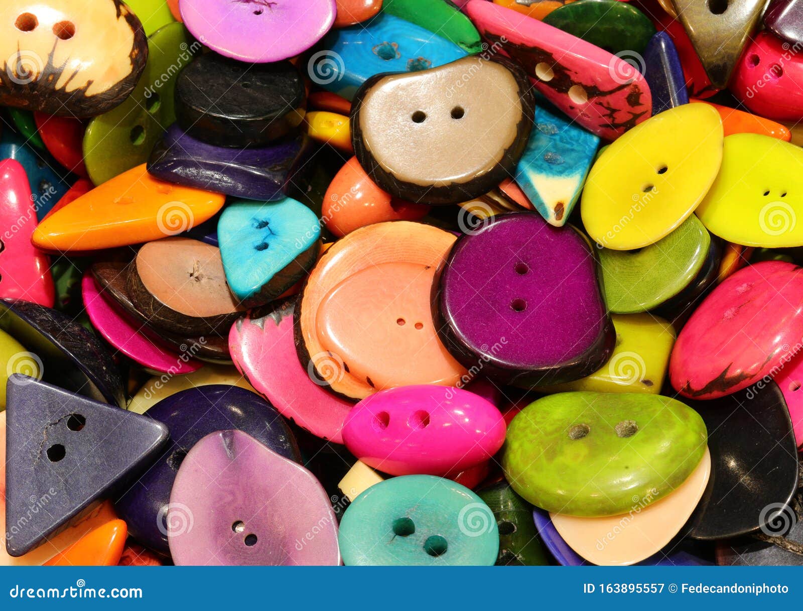 With Vegetable Ivory You Can Make Buttons Stock Image - Image of seed ...