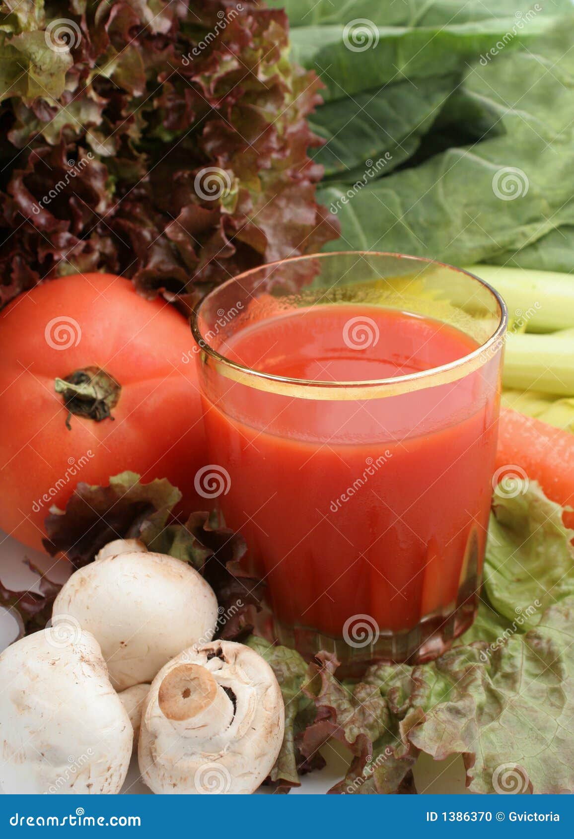 Vegetable juice stock photo. Image of juicing, dieting - 1386370