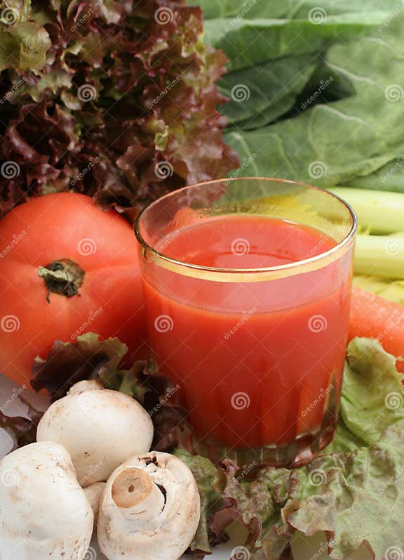 Vegetable juice stock photo. Image of juicing, dieting - 1386370