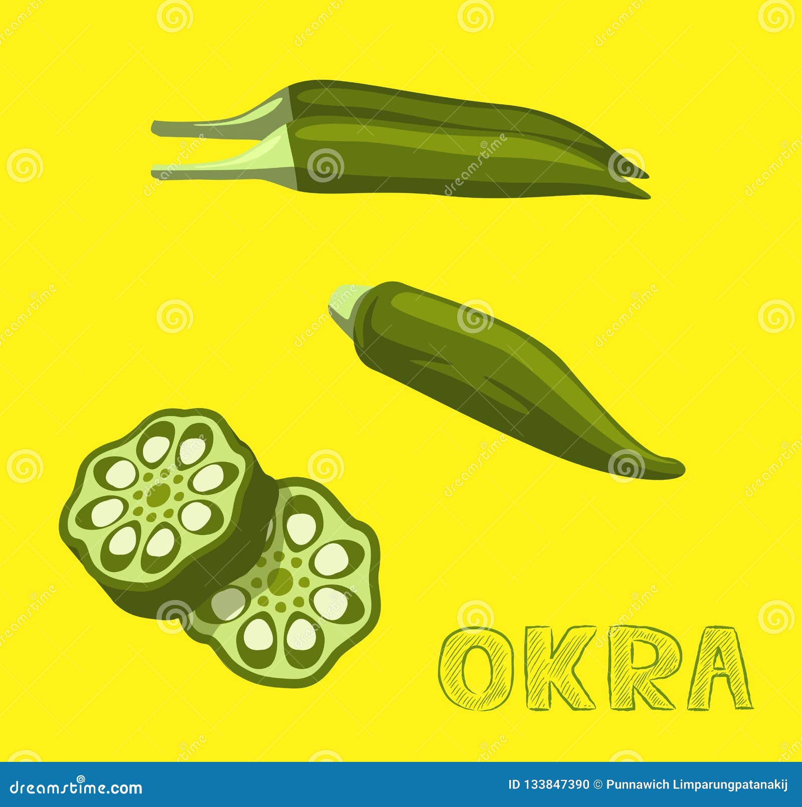 Vegetable Kind Okra Vector Illustration Stock Vector - Illustration of ...