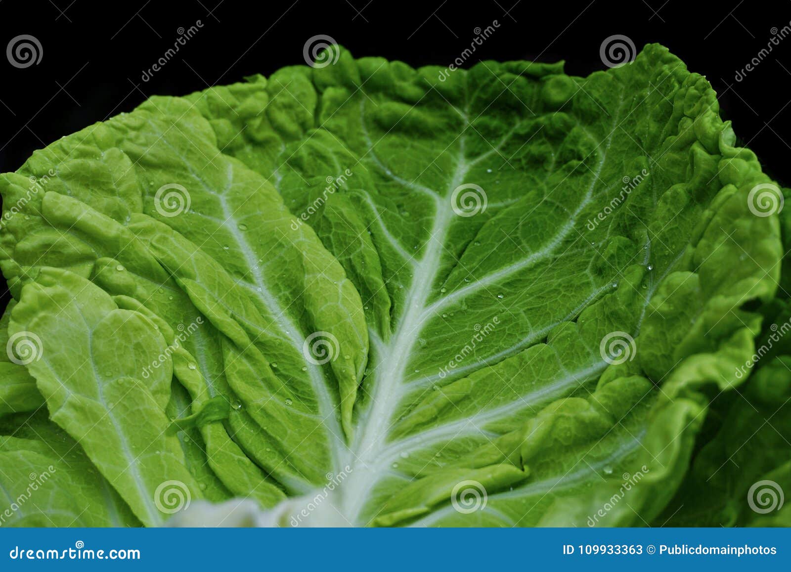 Vegetable, Leaf Vegetable, Leaf, Produce Picture. Image: 109933363
