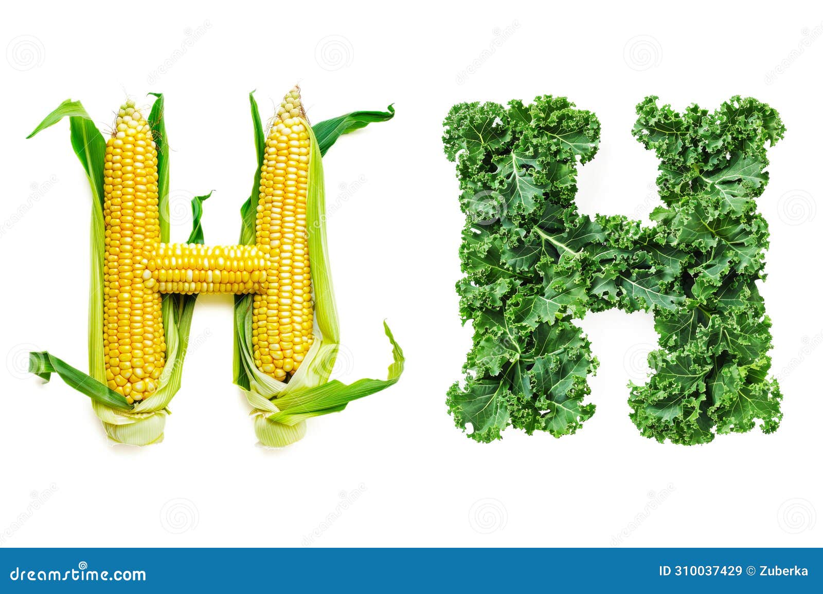 Vegetable Letter D Radish Style Cartoon Vegetable Design Flat Vector ...
