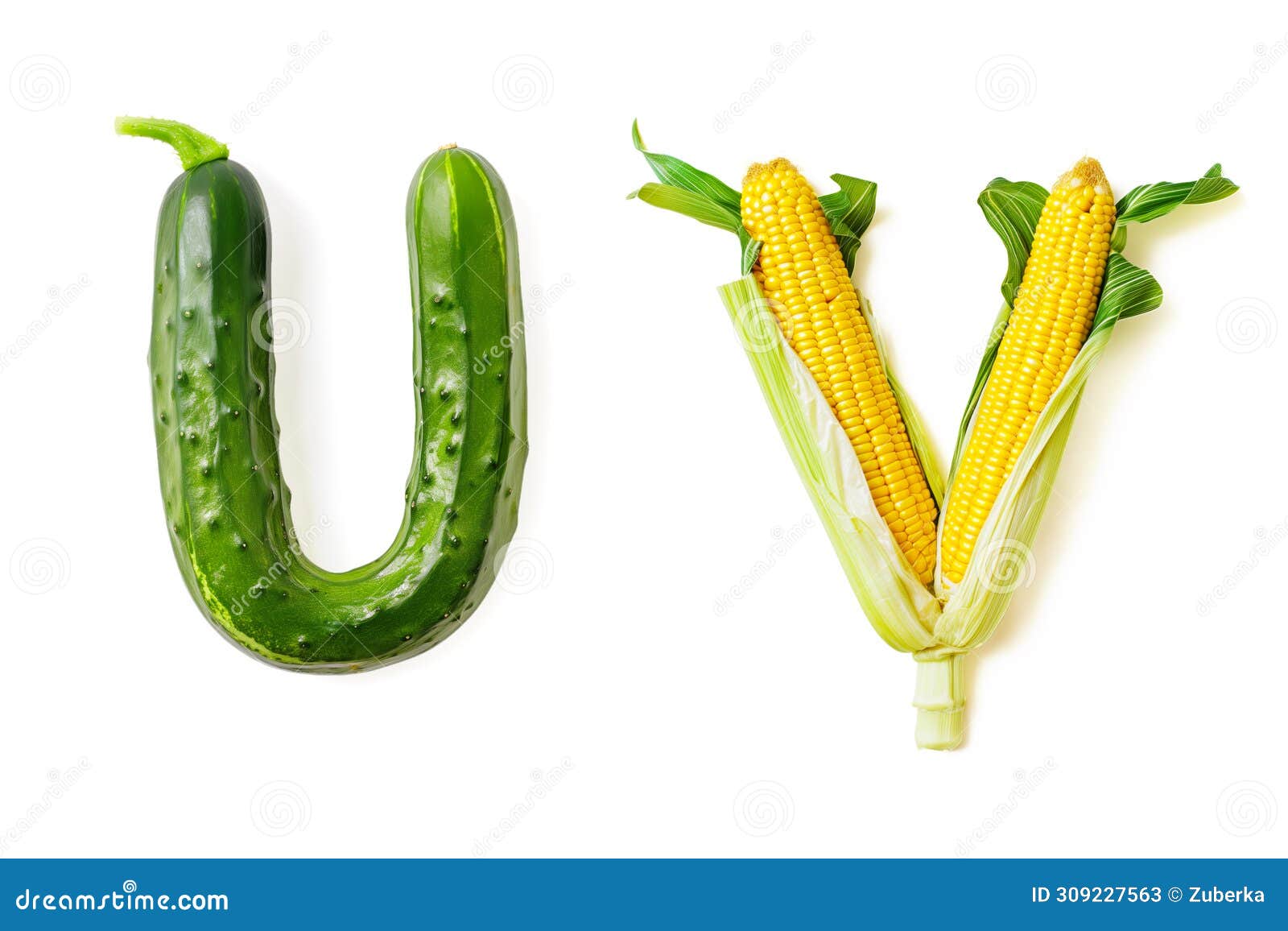 Vegetable Letters "U" and "V Stock Illustration - Illustration of child ...