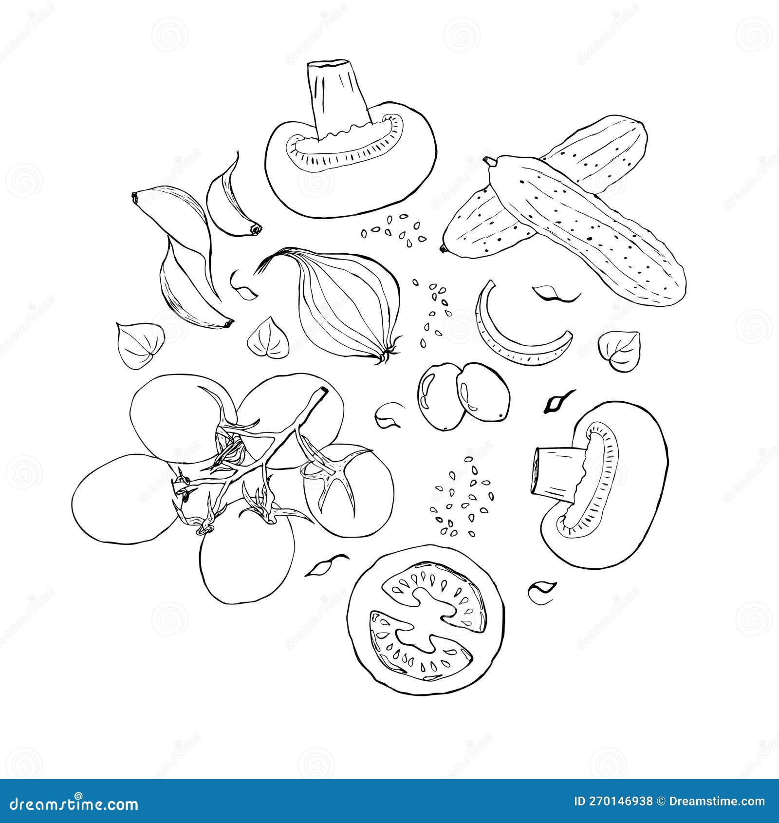 Vegetable Line Art Sketch Clipart Circle Composition Stock Vector ...