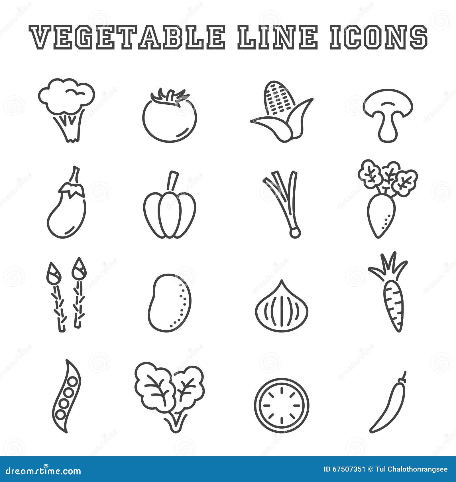 Vegetable line icons stock vector. Illustration of broccoli - 67507351