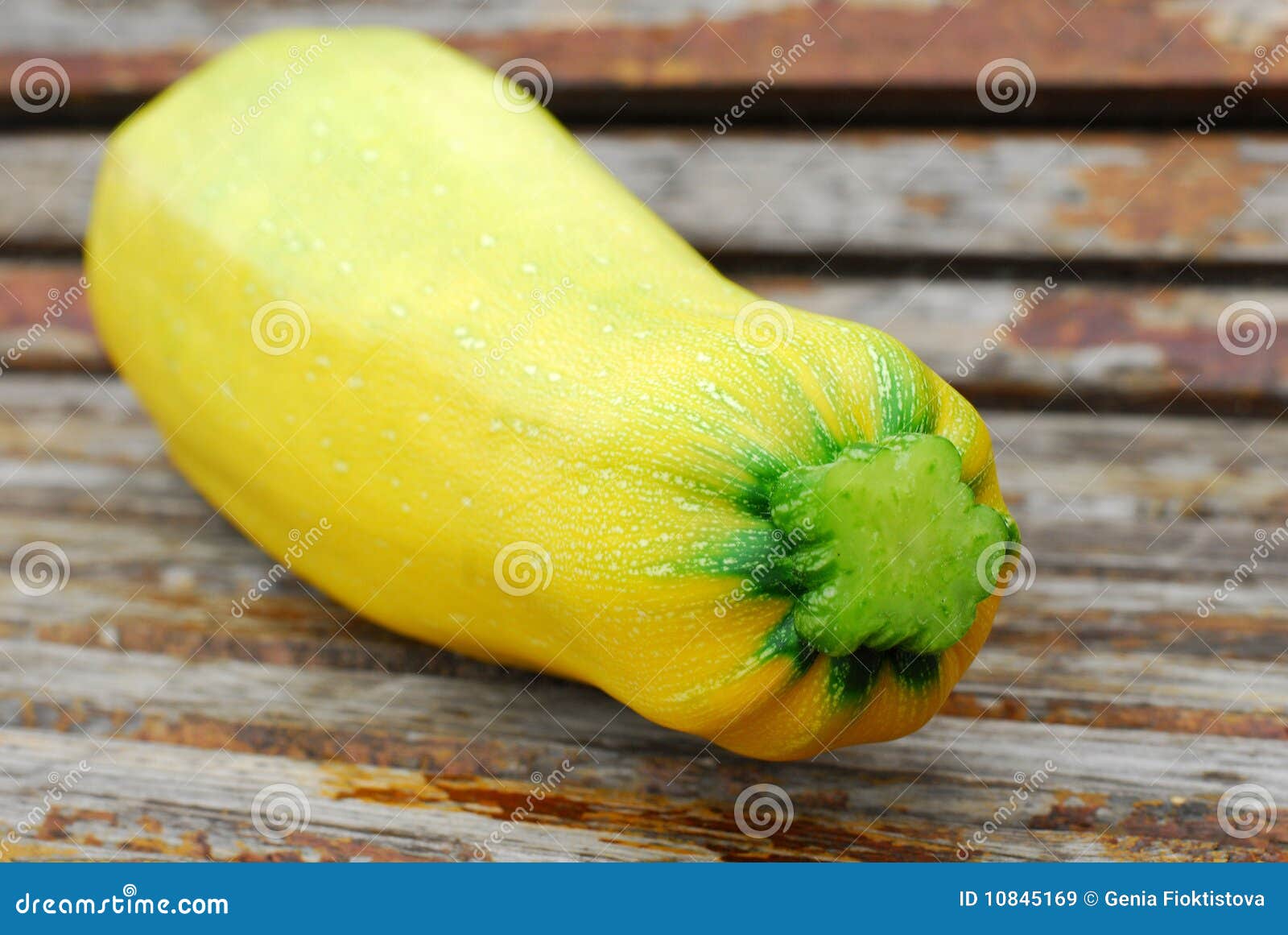 Vegetable marrow stock image. Image of marrow, vegetable - 10845169