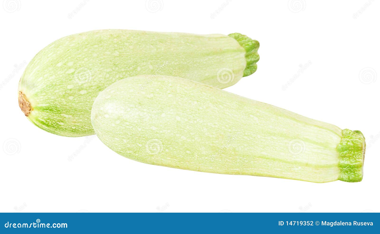 Vegetable marrow stock photo. Image of dinner, food, diet - 14719352