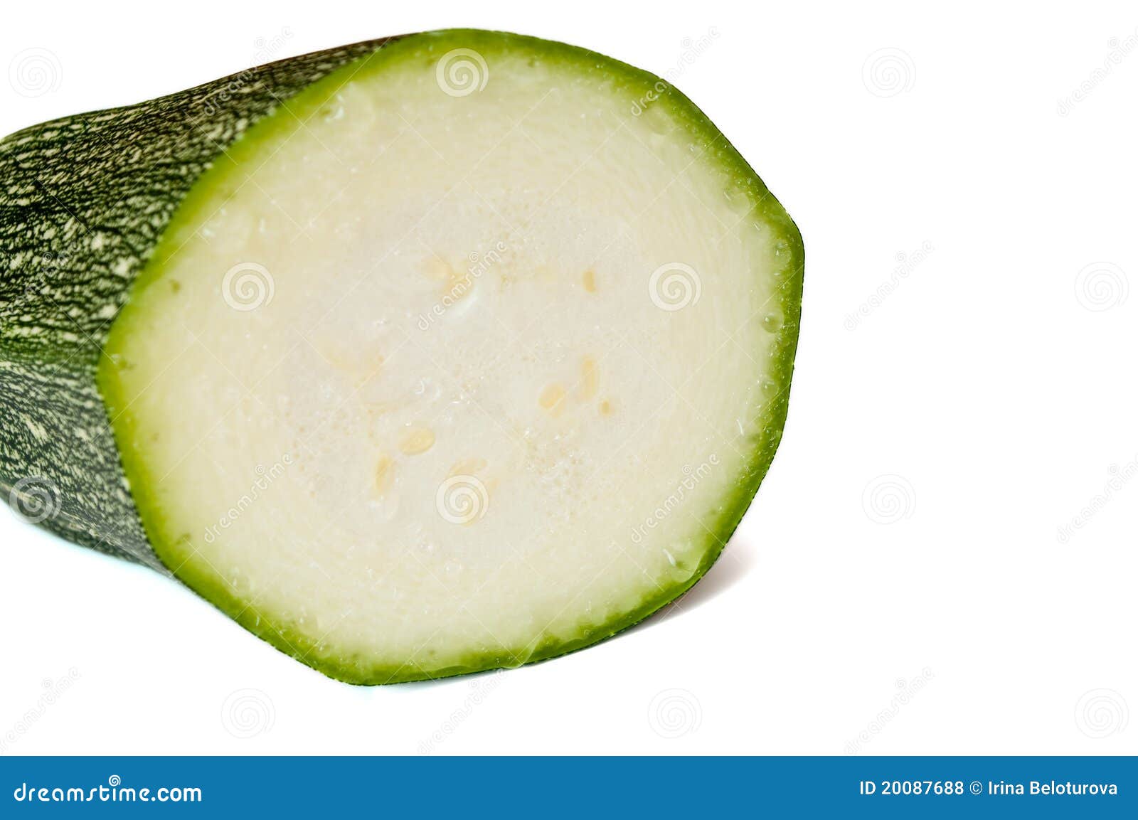 Vegetable marrow stock photo. Image of vegetable, food - 20087688