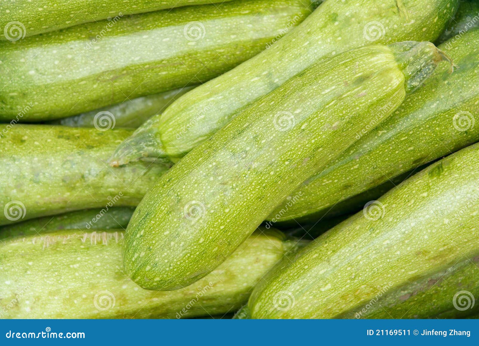 Vegetable Marrow Stock Image - Image: 21169511