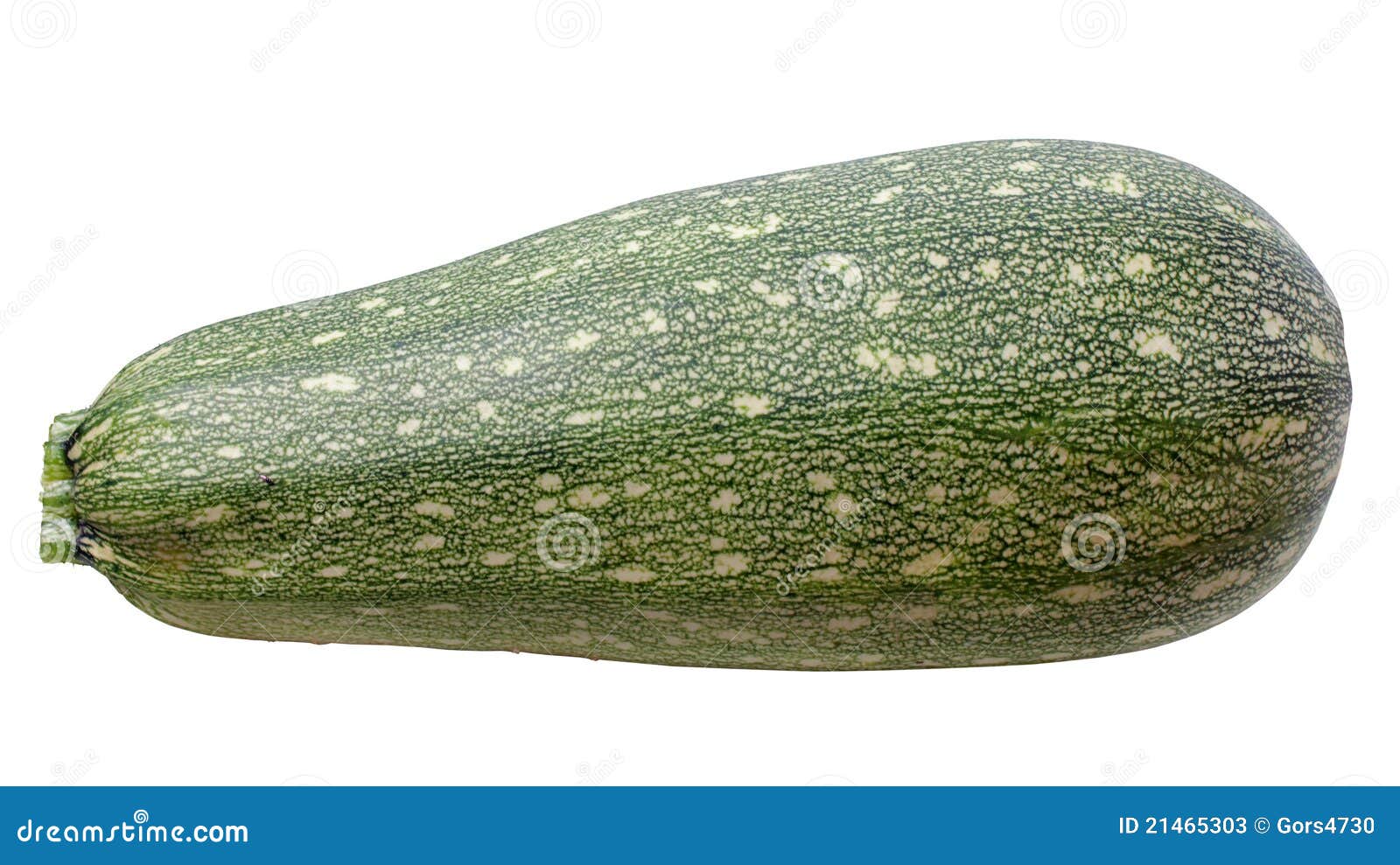 Vegetable Marrow stock image. Image of background, autumn - 21465303