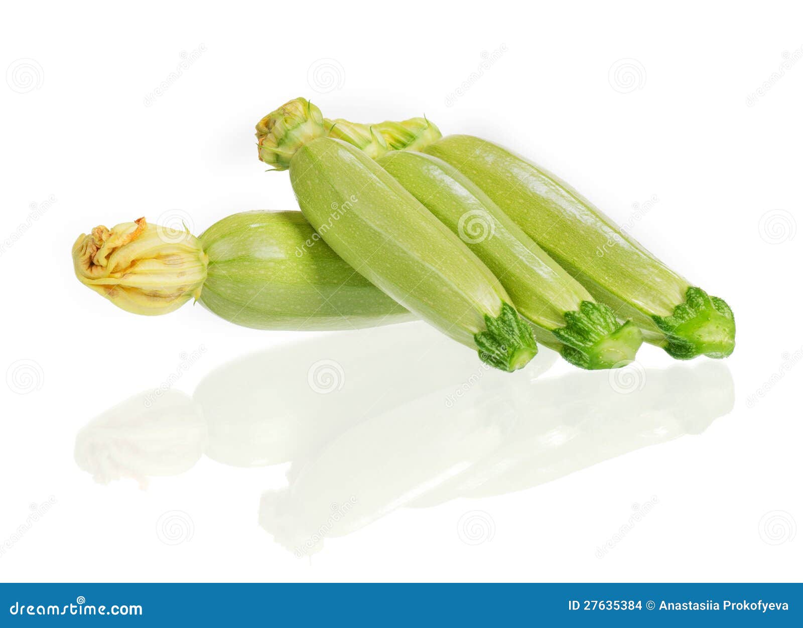 Vegetable marrow stock photo. Image of closeup, line - 27635384