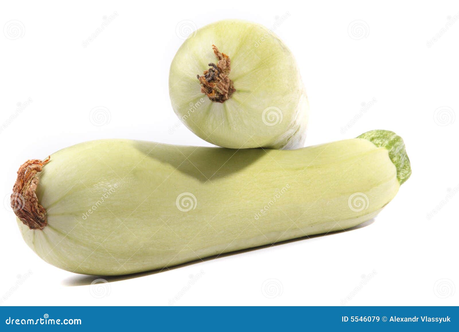 Vegetable marrow stock image. Image of dinner, close, isolated - 5546079