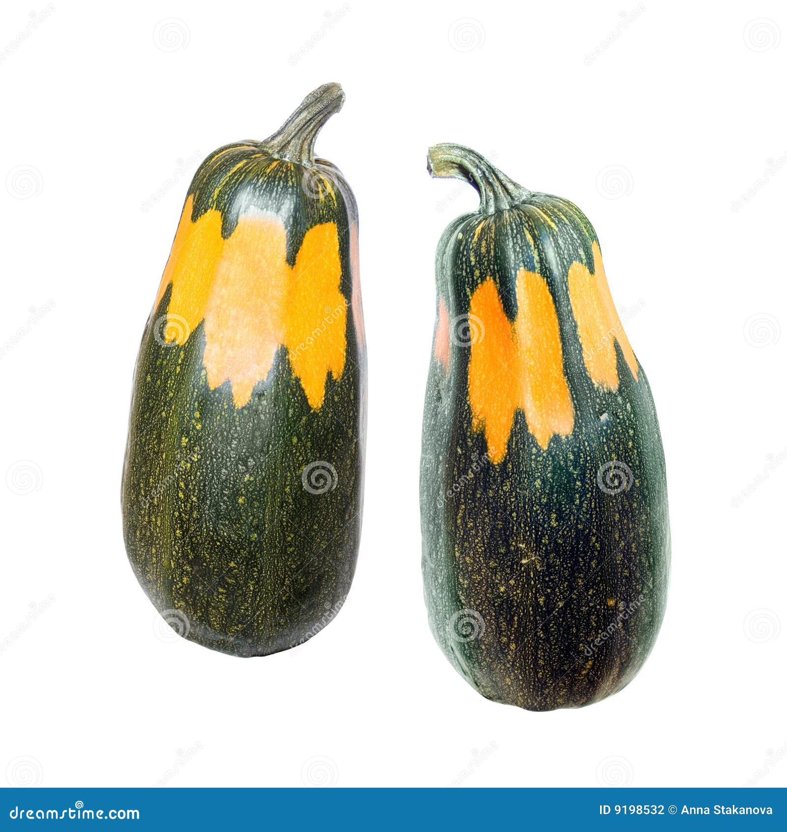 Vegetable marrow stock photo. Image of food, freshness - 9198532