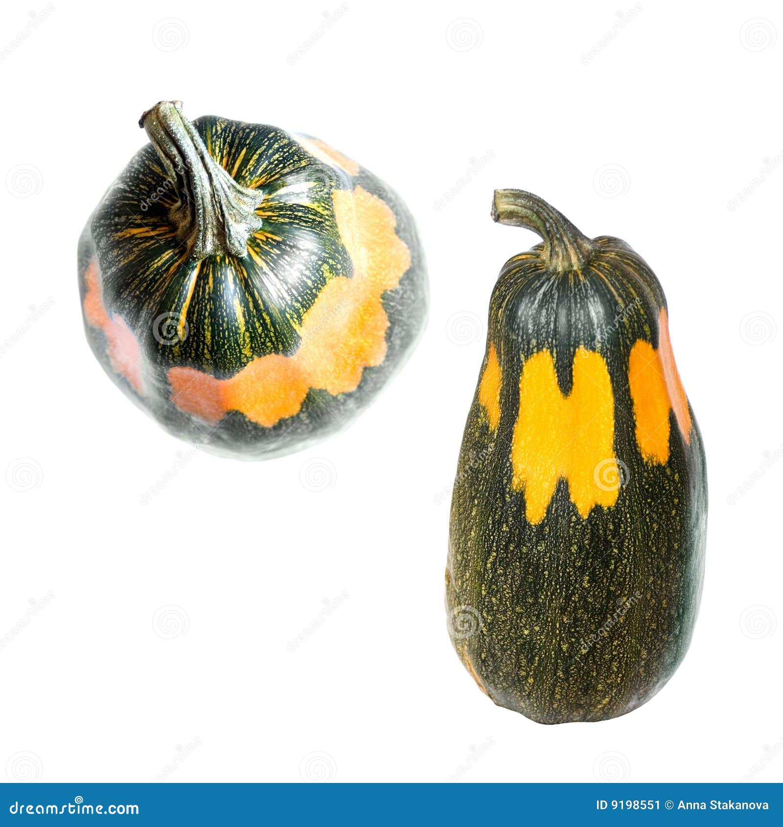 Vegetable marrow stock image. Image of health, dieting - 9198551